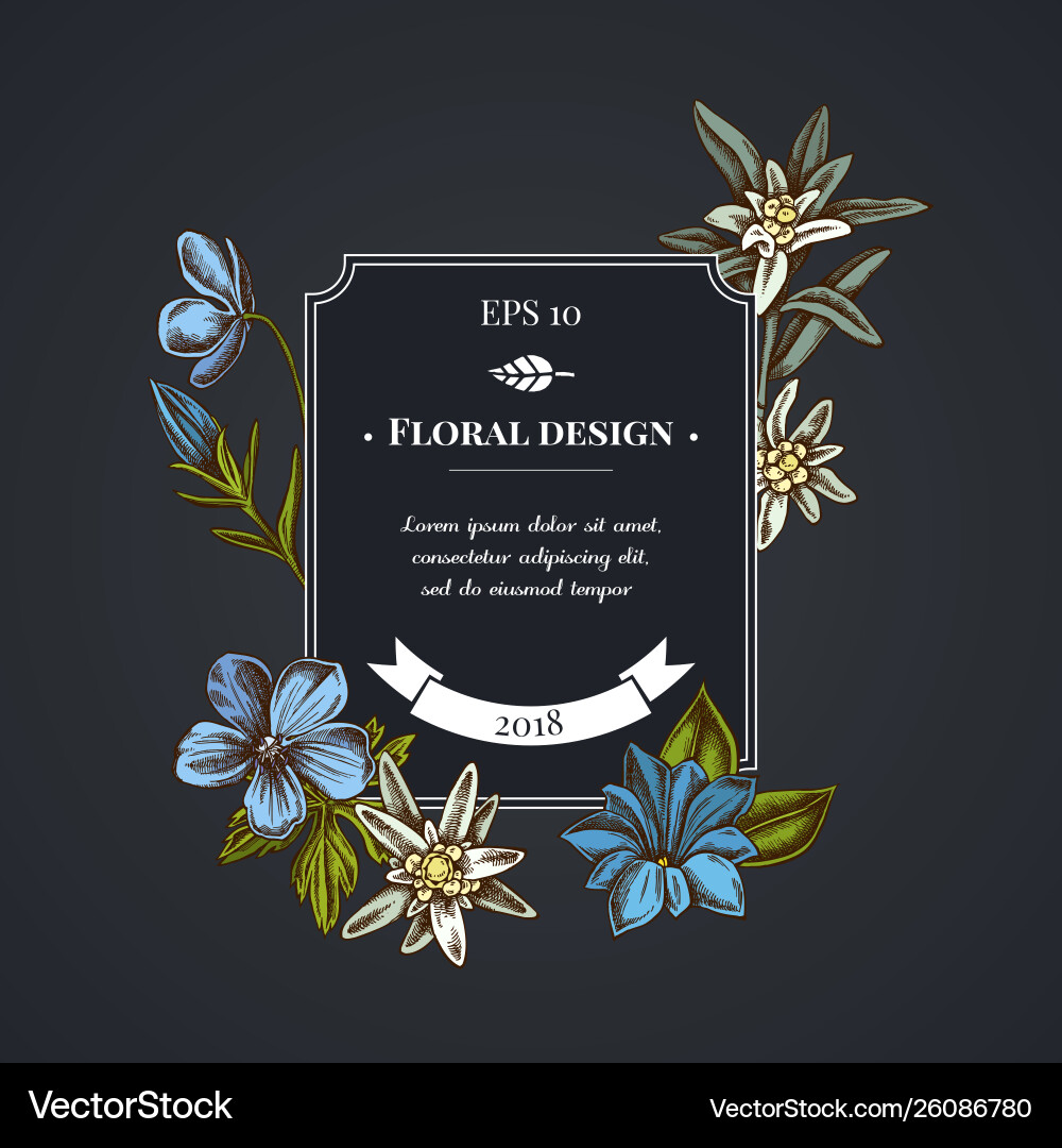 Dark badge design with edelweiss meadow geranium Vector Image