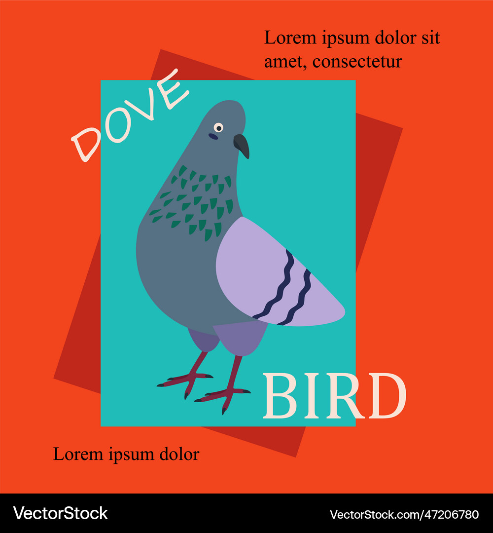 Poster banner with dove bird and text Royalty Free Vector