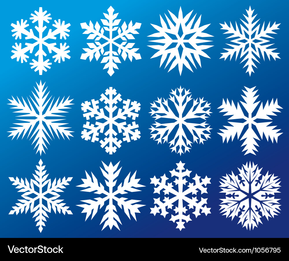 Collection of snowflakes Royalty Free Vector Image