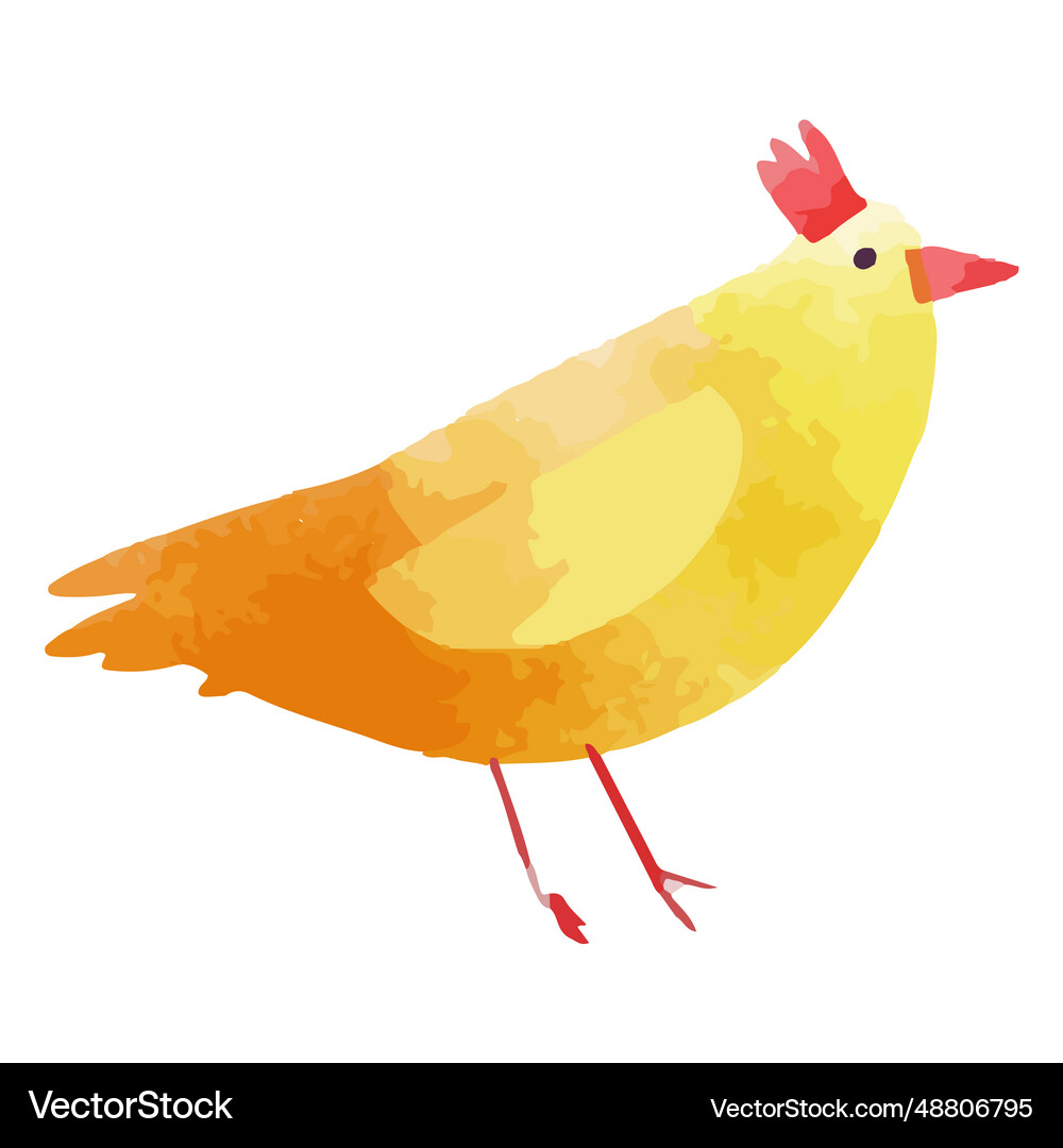 Farm chicken watercolor Royalty Free Vector Image