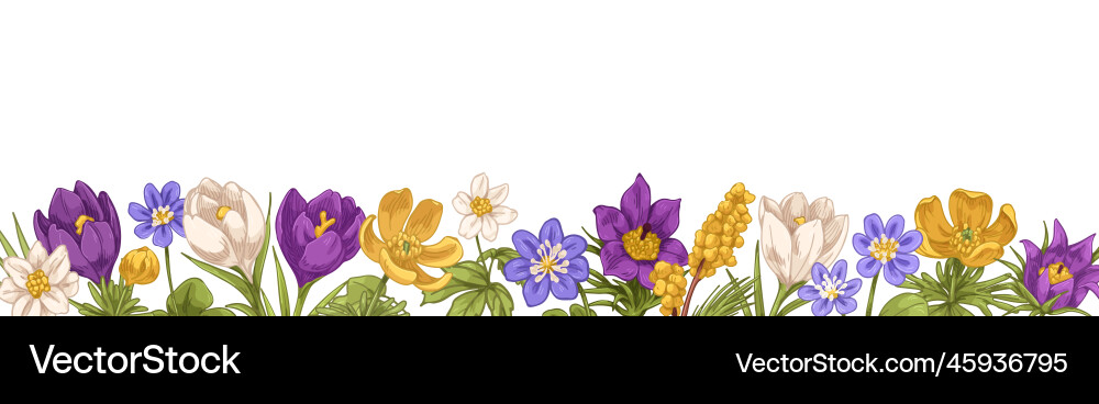 Floral botanical border drawing spring blossomed Vector Image