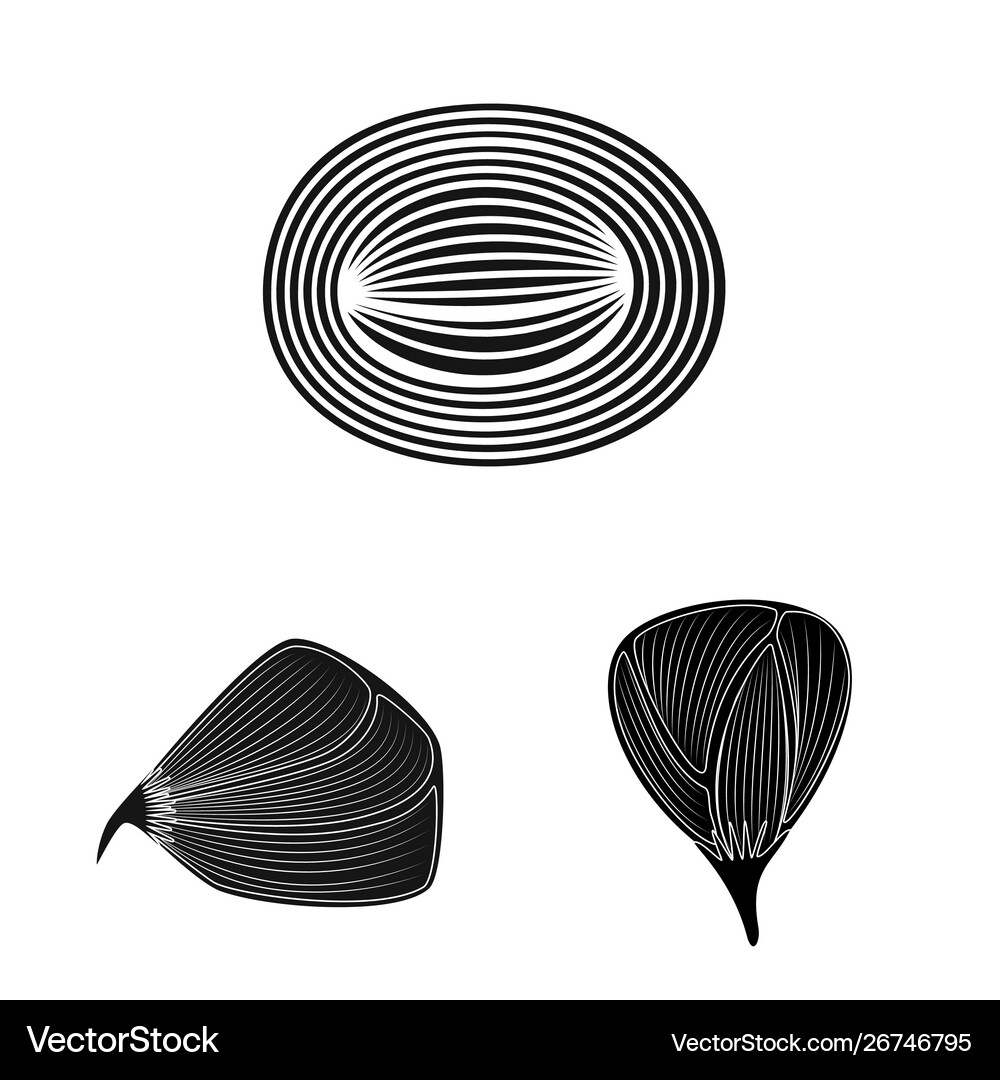 Human and body icon set Royalty Free Vector Image