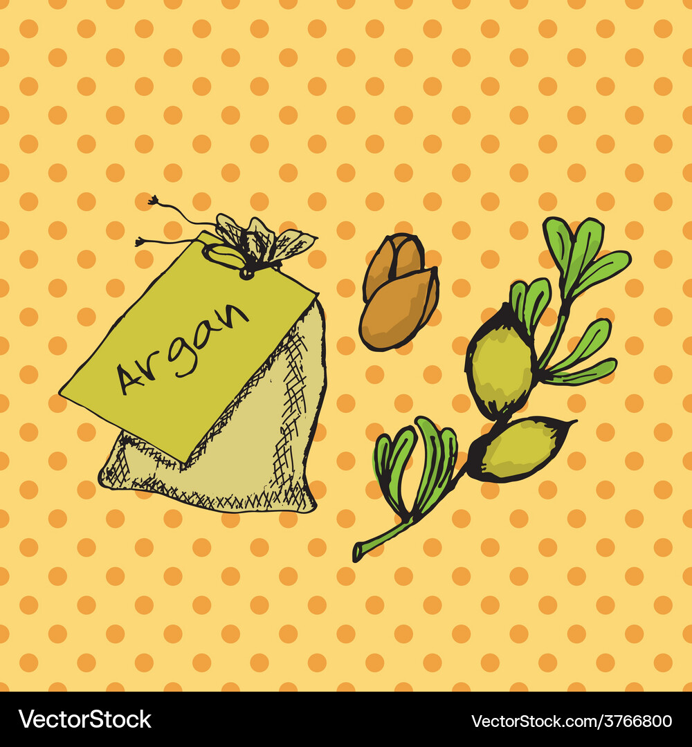 Health and nature collection argan tree Royalty Free Vector