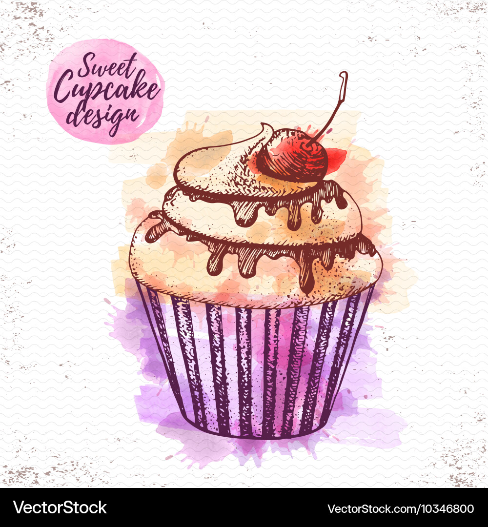 Watercolor sweet cupcake Royalty Free Vector Image