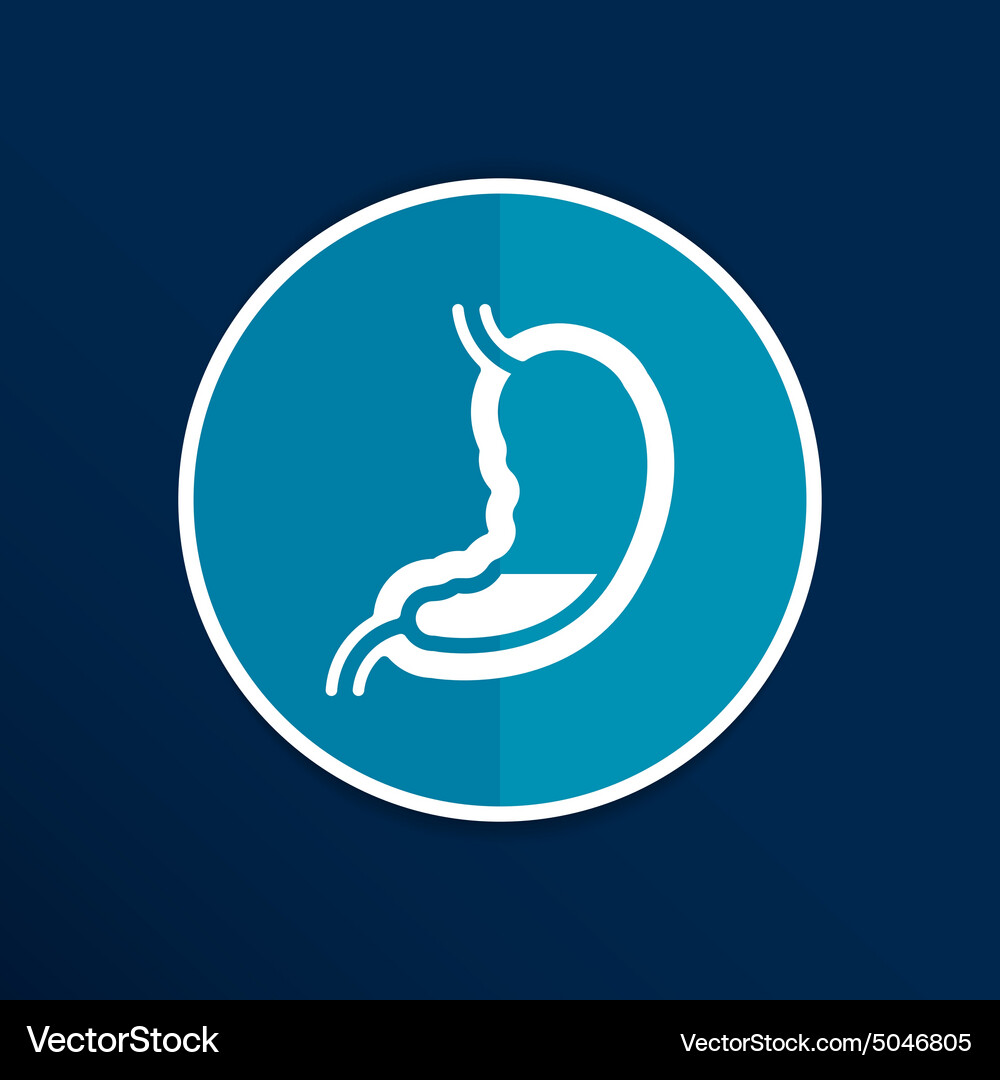 Human stomach icon cross intestinal Royalty Free Vector
