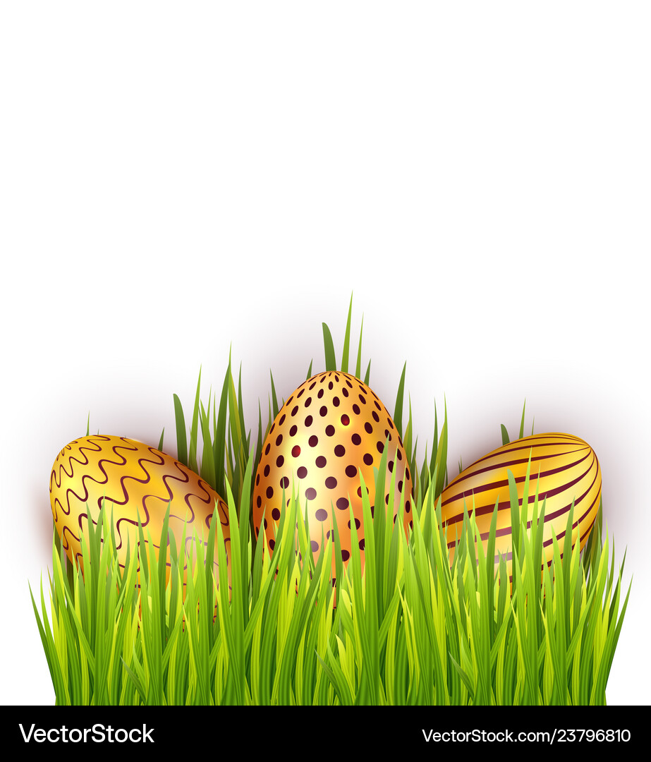 Easter golden eggs in green grass decoration Vector Image