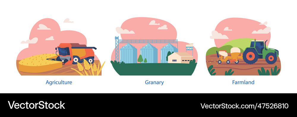 Isolated elements with stages of cultivation Vector Image