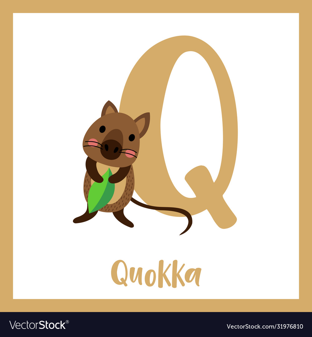 Letter q vocabulary quokka holding leaf Royalty Free Vector