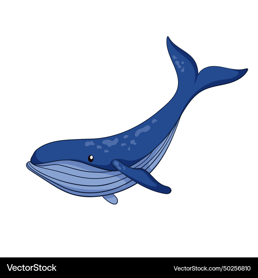 Whale cartoon in style Royalty Free Vector Image