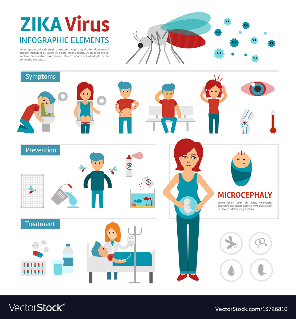 Zika virus infographic elements flat Royalty Free Vector