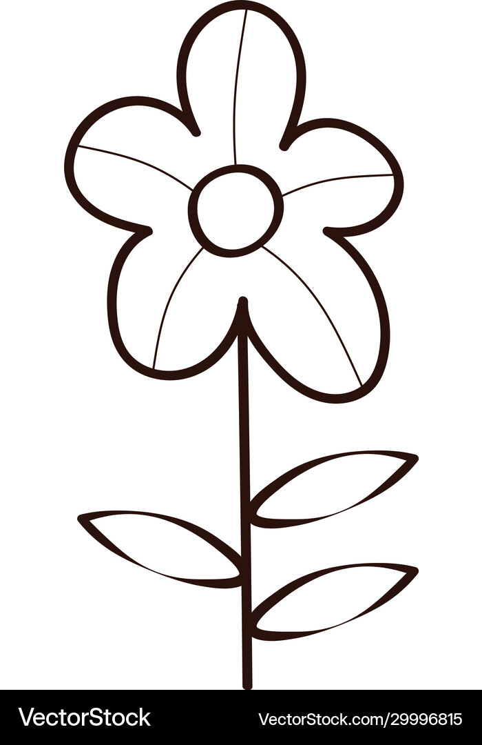 Beautiful flower with leafs garden spring line Vector Image
