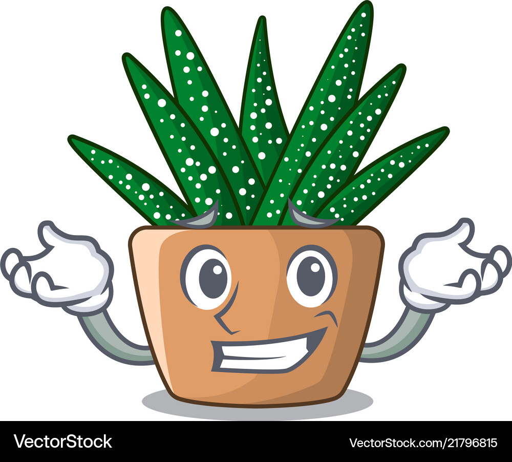 Grinning character small zebra cactus plant on pot