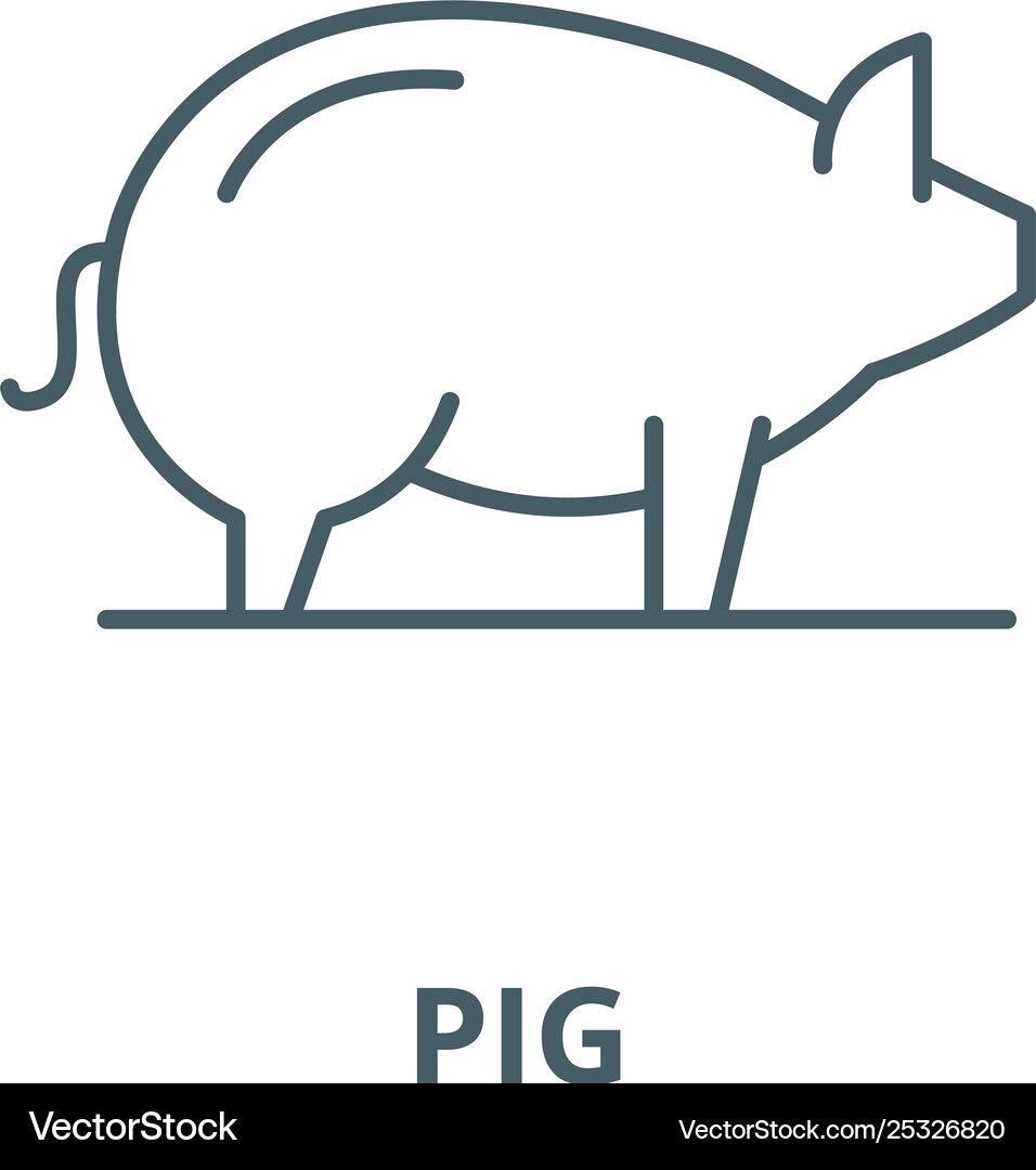 Pig line icon linear concept outline sign Vector Image