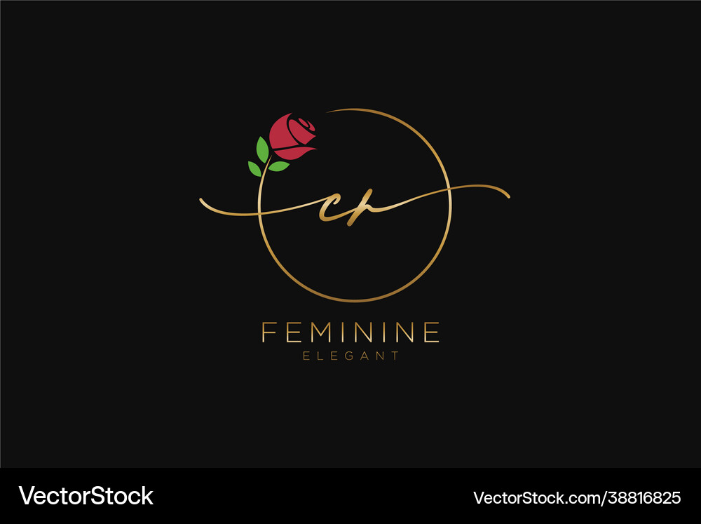 Initial cr feminine logo beauty monogram Vector Image