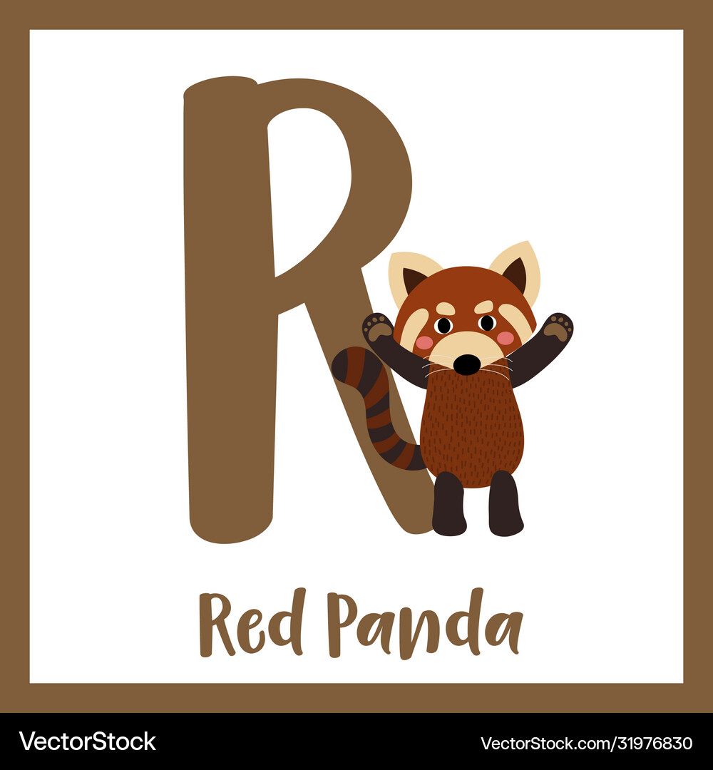 Letter r vocabulary red panda standing Royalty Free Vector