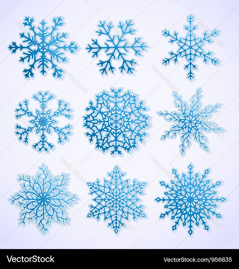 Set of paper snowflakes Royalty Free Vector Image
