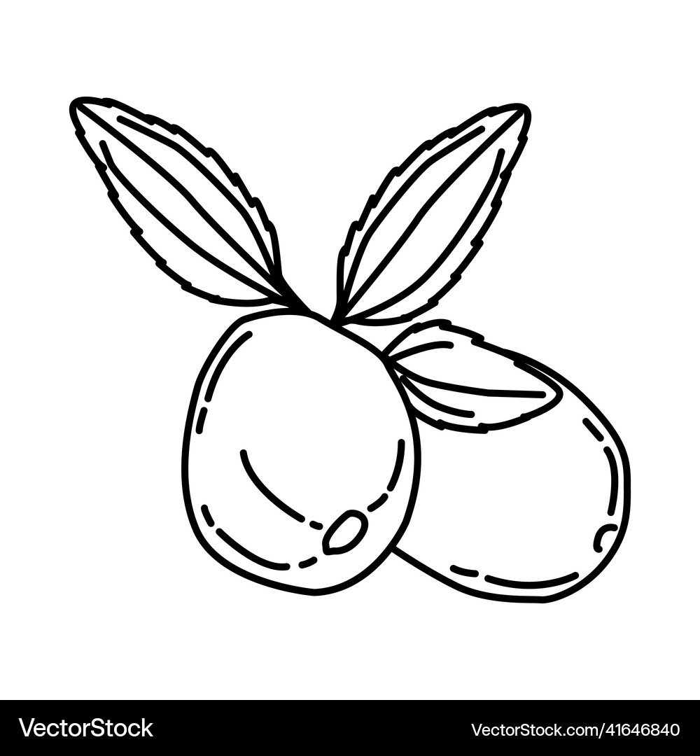 Jujube icon doodle hand drawn or outline Vector Image