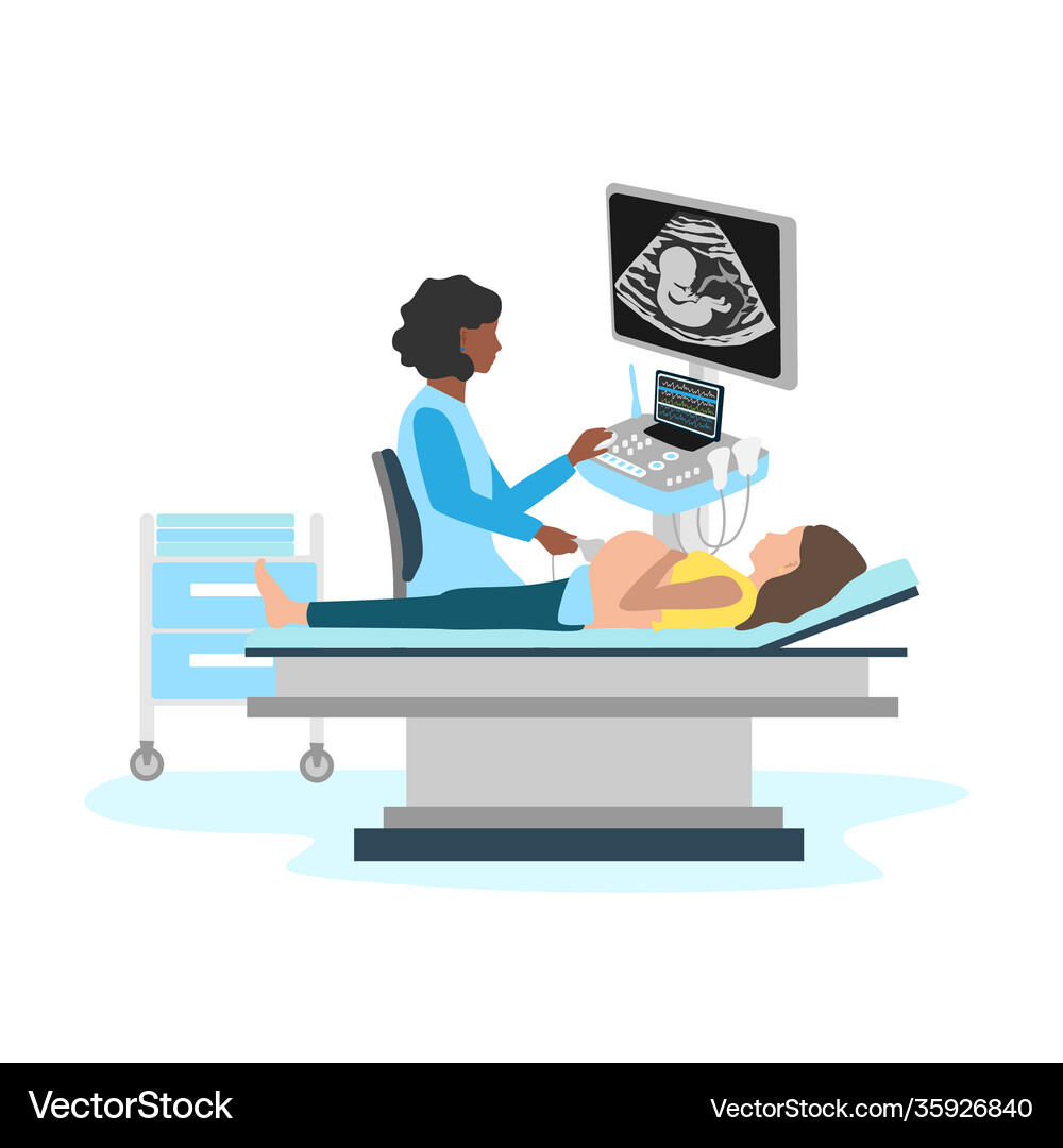 Pregnant ultrasound Royalty Free Vector Image - VectorStock