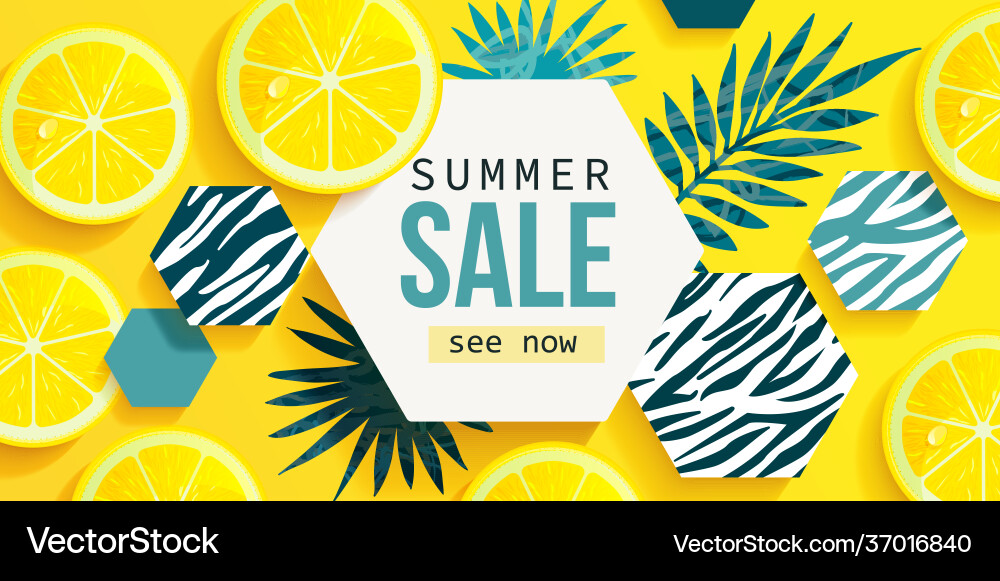 Summer sale horizontal banner bright invitation Vector Image
