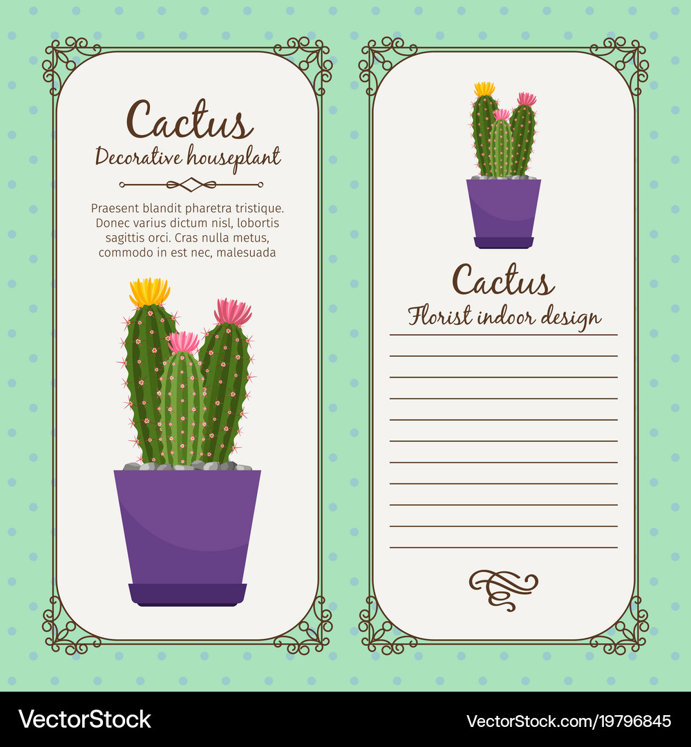 Vintage label with cactus plant Royalty Free Vector Image