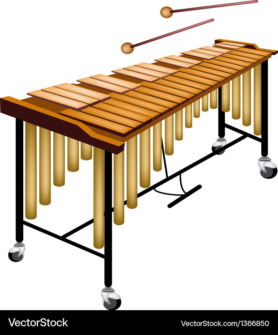 A musical vibraphone isolated on white background Vector Image