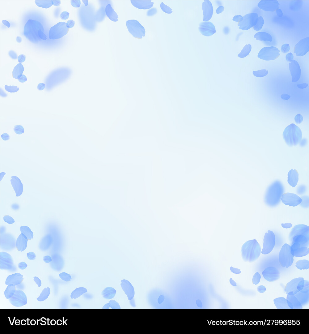 Dark blue flower petals falling down divine roman Vector Image