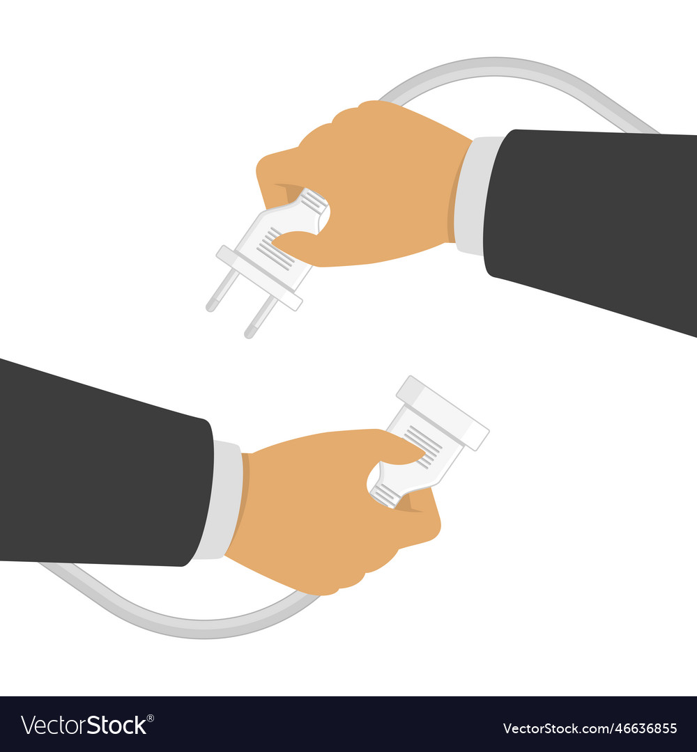 Wire plug and socket Royalty Free Vector Image