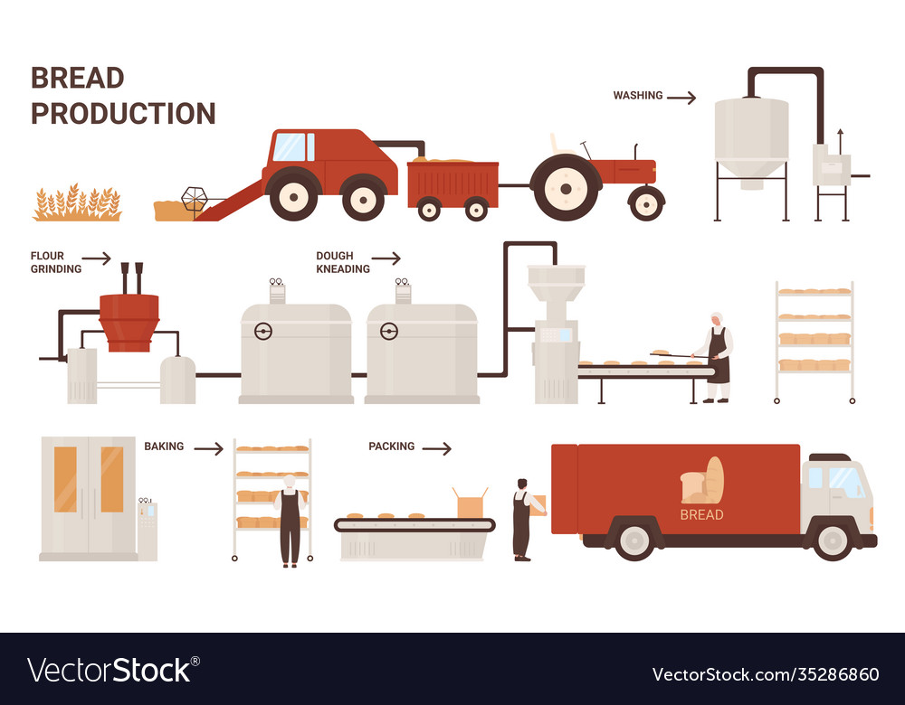 Bread production process with automated processing