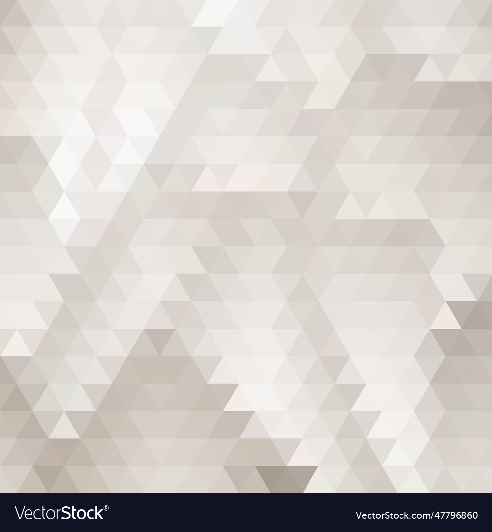 Gray triangular background for presentation Vector Image