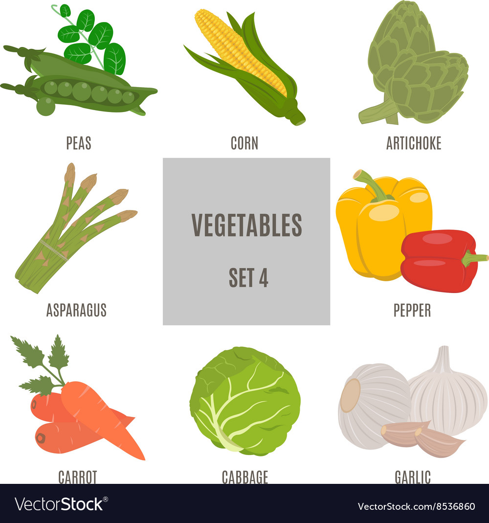 Vegetables Royalty Free Vector Image - VectorStock