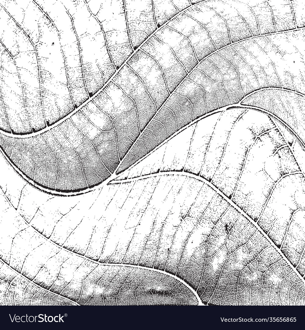 Leaf background wavy Royalty Free Vector Image