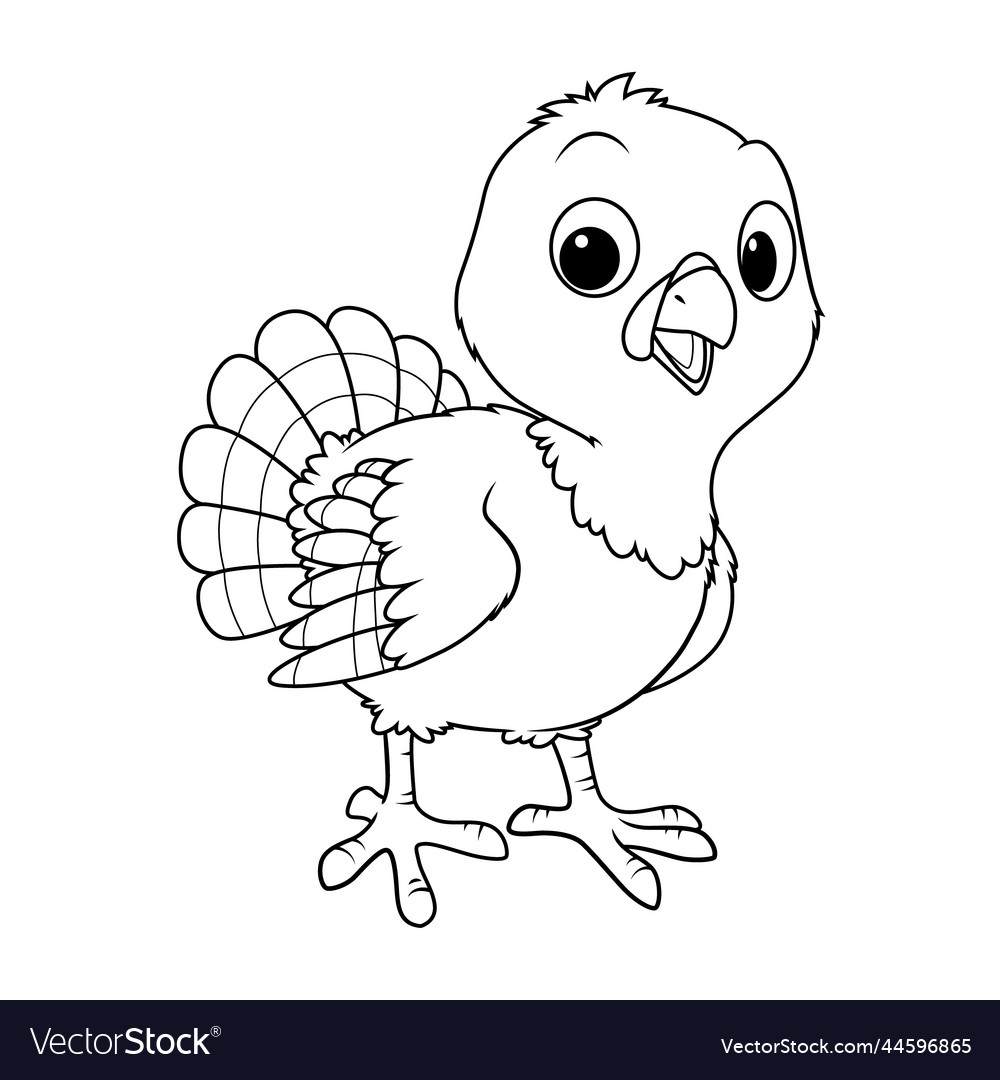 Little turkey cartoon animal bw Royalty Free Vector Image Little turkey cartoon animal bw Royalty Free Vector Image