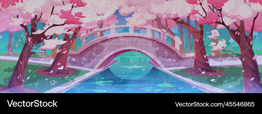 Rainy japanese cherry garden bridge sakura Vector Image