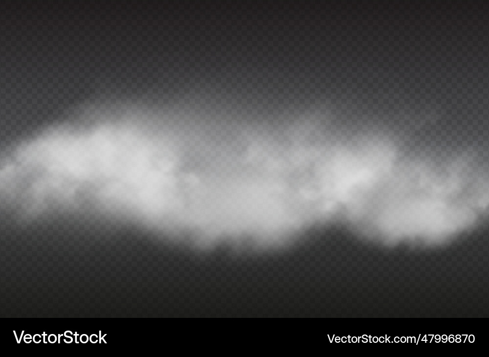 Smoke effect realistic smoke or for isolated on Vector Image