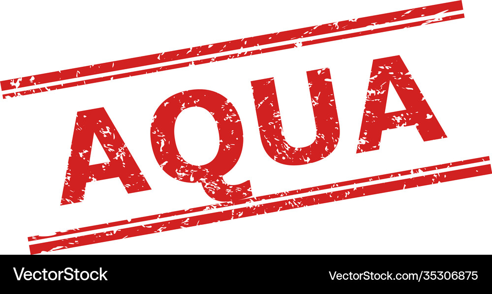 Aqua watermark with corroded style and double Vector Image