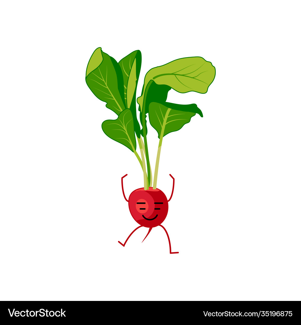 Cute radish cartoon character Royalty Free Vector Image