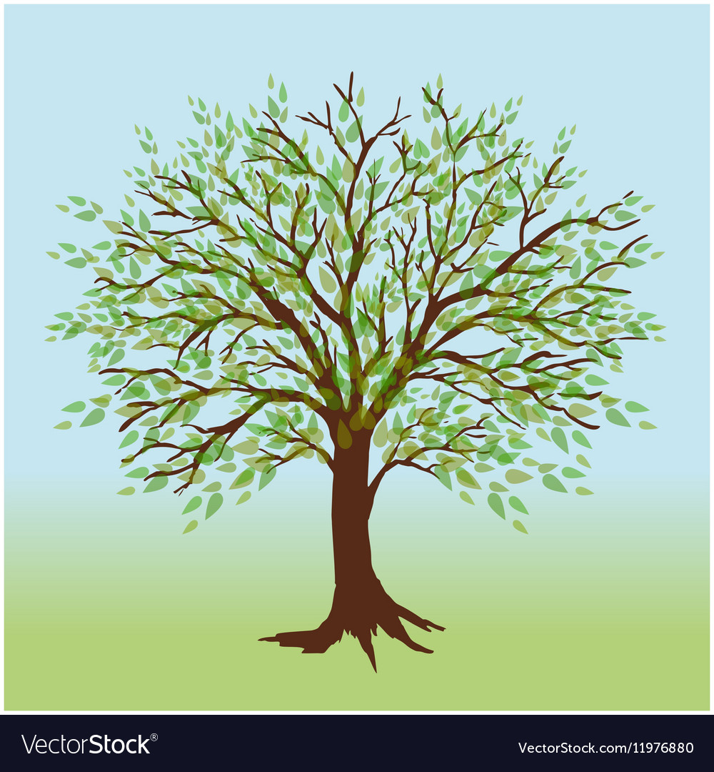 A tree Royalty Free Vector Image - VectorStock