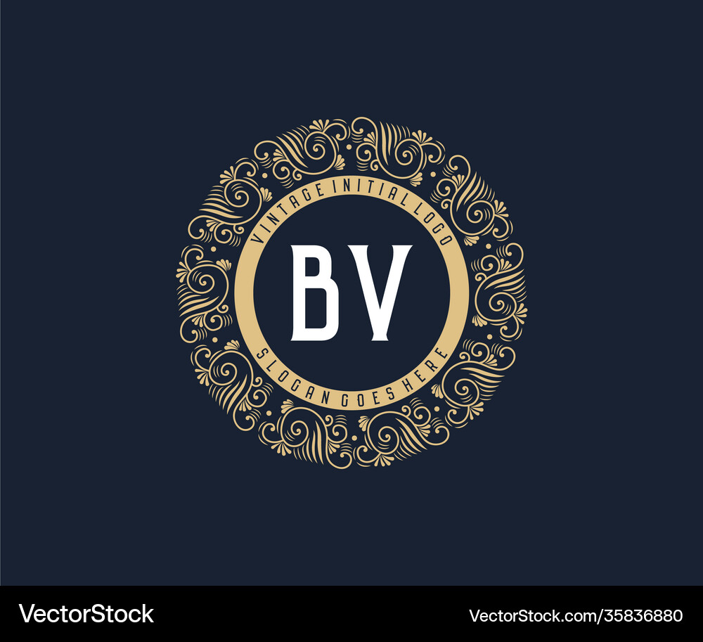 Initial bv antique retro luxury victorian Vector Image