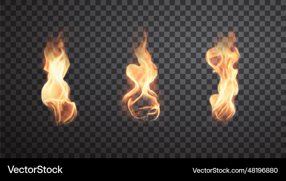 Set of realistic torch flame isolated on Vector Image