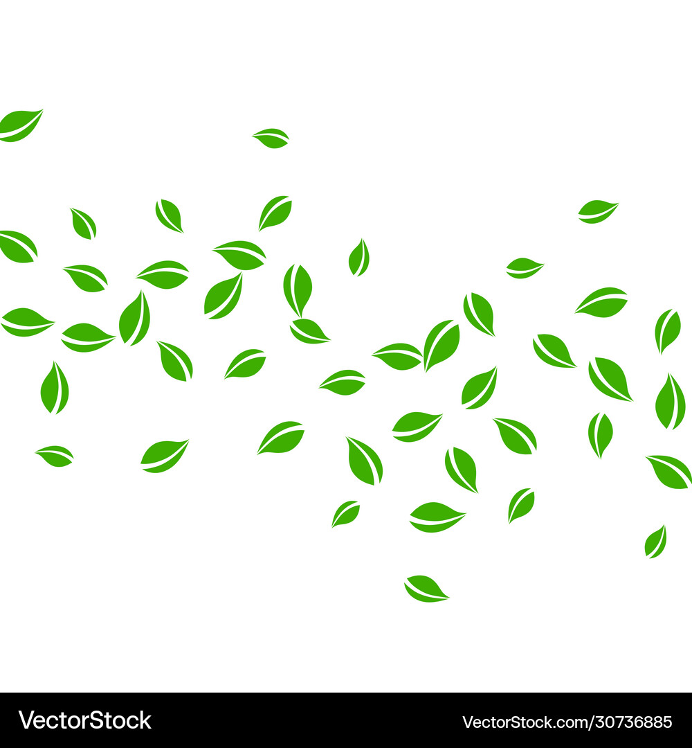Falling green leaves fresh tea random leaves flyi Vector Image
