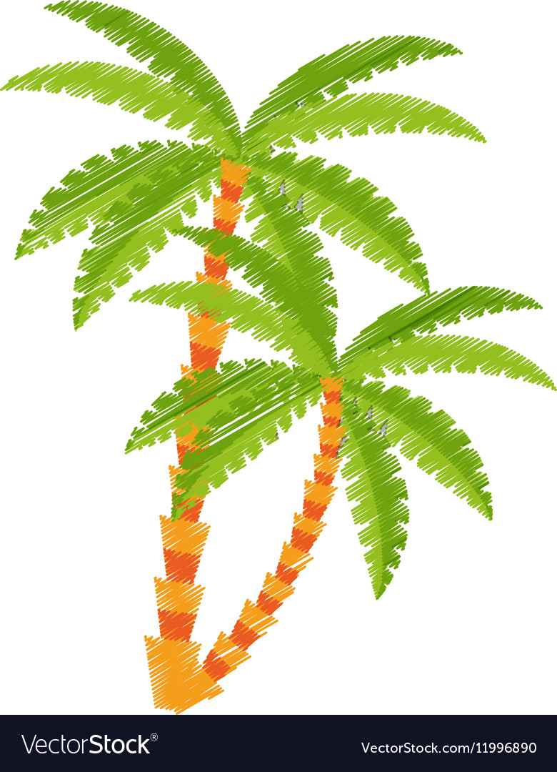 Isolated palm tree design Royalty Free Vector Image