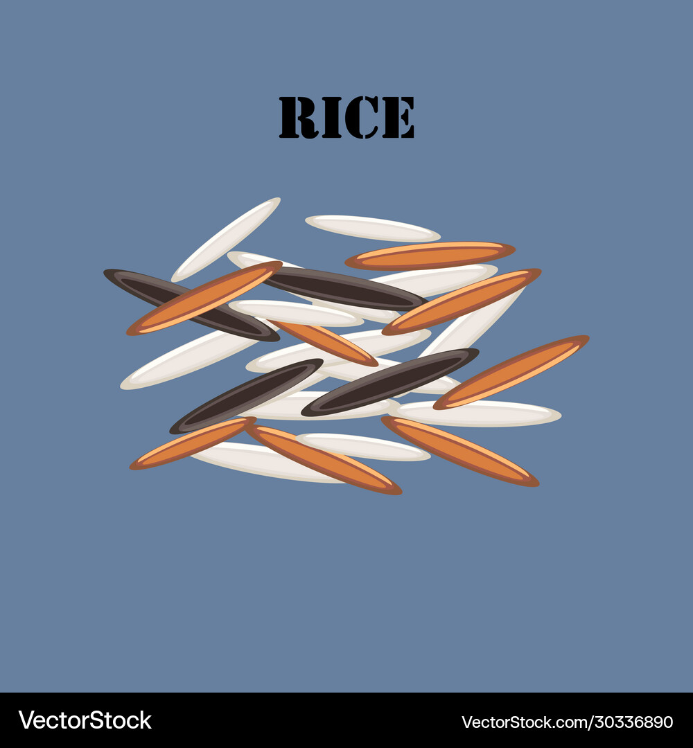 Rice grain healthy organic nutrition Royalty Free Vector