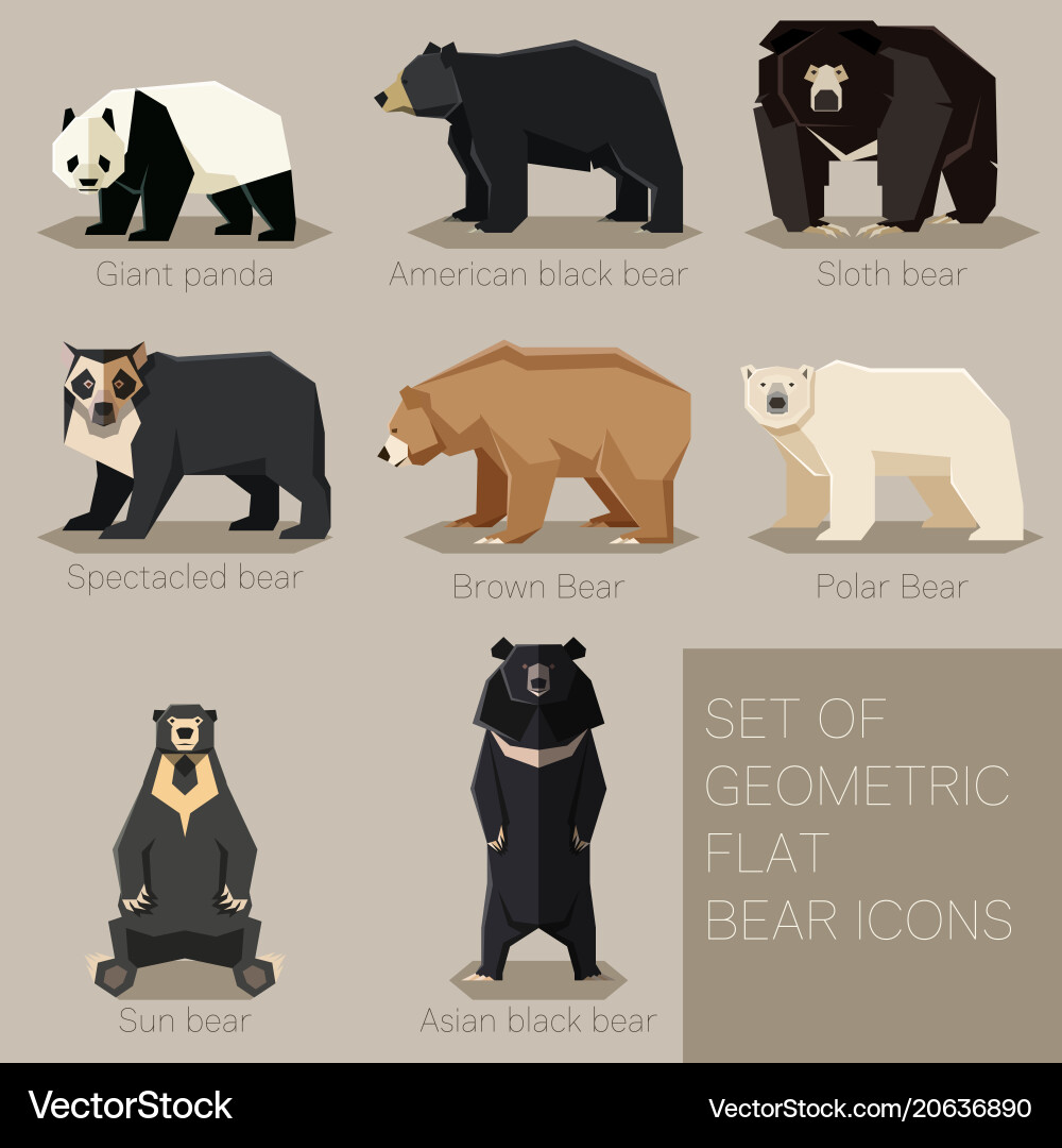 Set flat geometric bear icons Royalty Free Vector Image