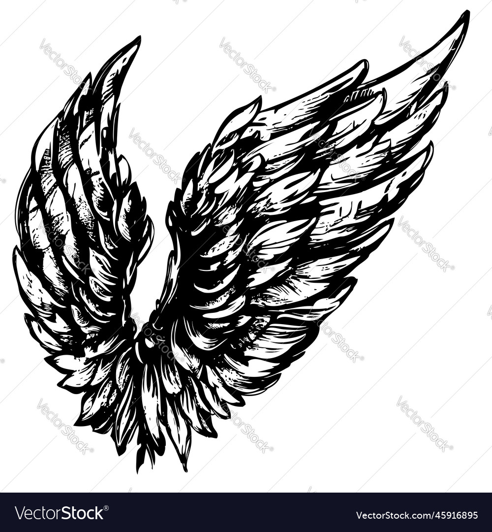 Angel wings bird collection cartoon hand Vector Image