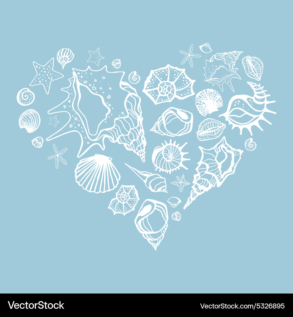 Heart of sea shells Royalty Free Vector Image - VectorStock