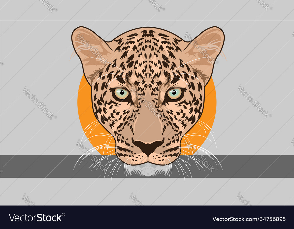 Leopard head with background Royalty Free Vector Image