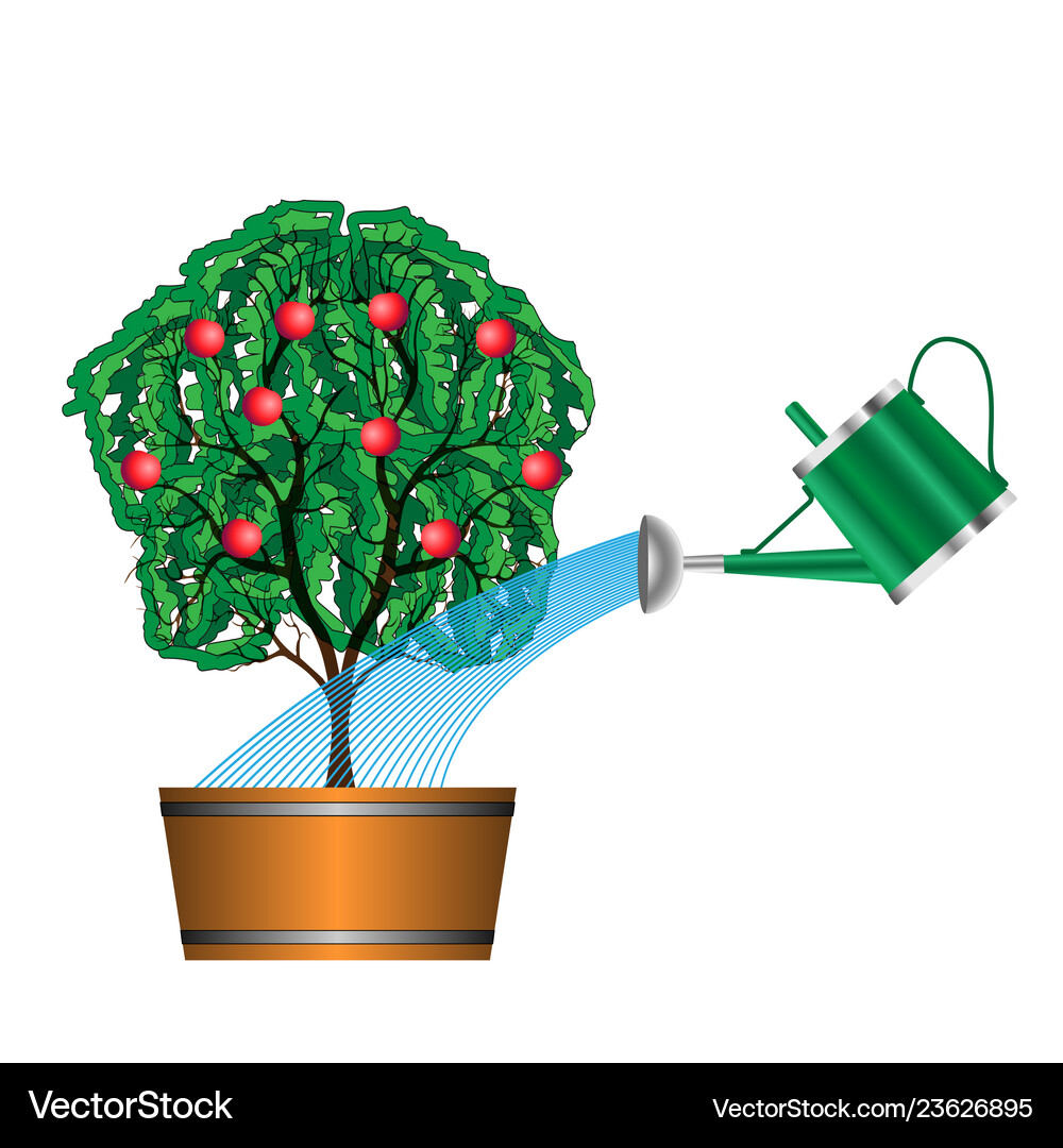 Watering with a can of fruit tree Royalty Free Vector Image