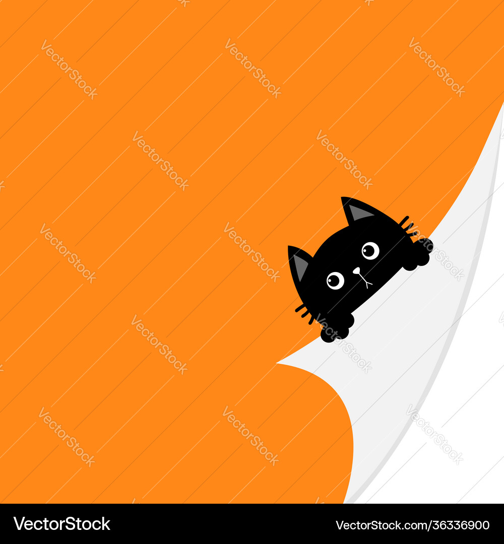 Curled paper corner black cat face holding fold Vector Image