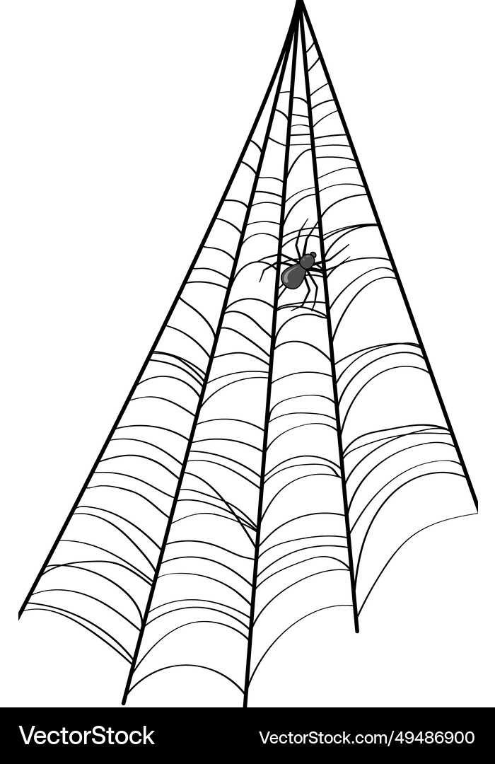 Spider cobweb cartoon Royalty Free Vector Image