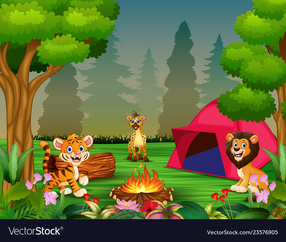 Animals While Camping